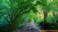 Toda la info sobre la Ruta del Alba + Mapa + Track 2026 💧